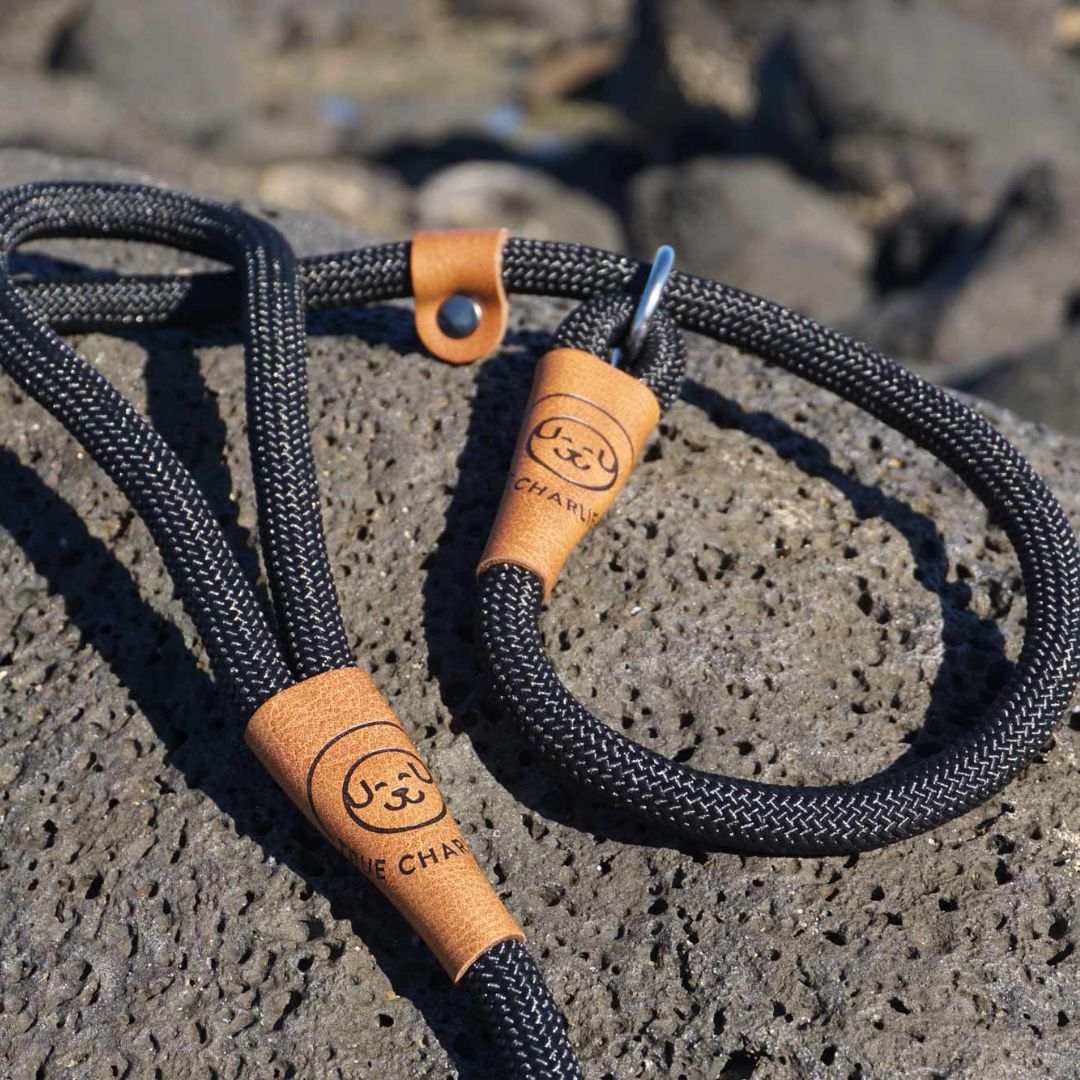 When should you use a slip lead? – True Charlie Co.
