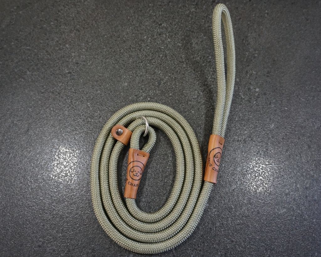 How to Use a Slip Lead - Stop the Pulling! – True Charlie Co.